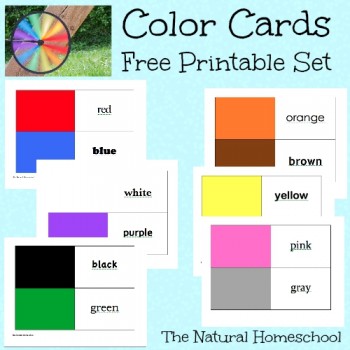 FREE Montessori-Inspired Color Wheel Activities, Lesson and Printables