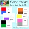 FREE Montessori-Inspired Color Wheel Activities, Lesson and Printables