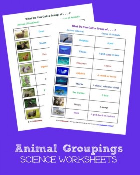 FREE Animal Groupings Science Worksheets