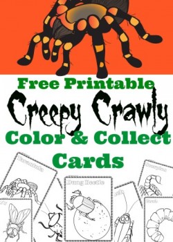FREE Creepy Crawly Card Set