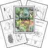 FREE Frog Lapbook