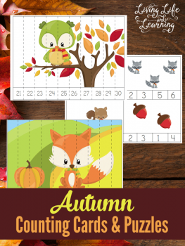 FREE Autumn Animals Counting Cards & Puzzles