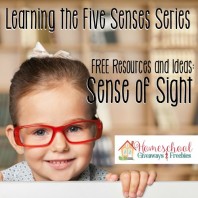 FREE Learning the Five Senses Unit Study: Sight