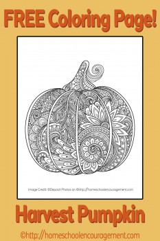 FREE Pumpkin/ Harvest Themed Coloring Page