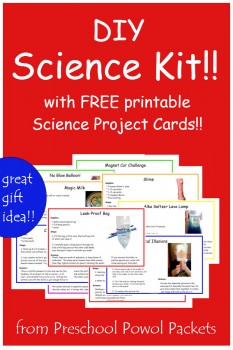 FREE Science DIY Kit