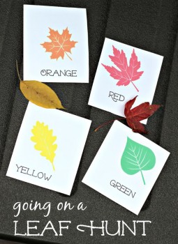 FREE Leaf Hunt Printables