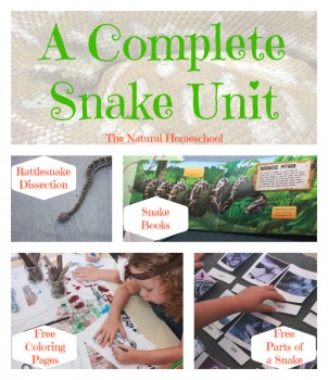 FREE Snake Unit Study