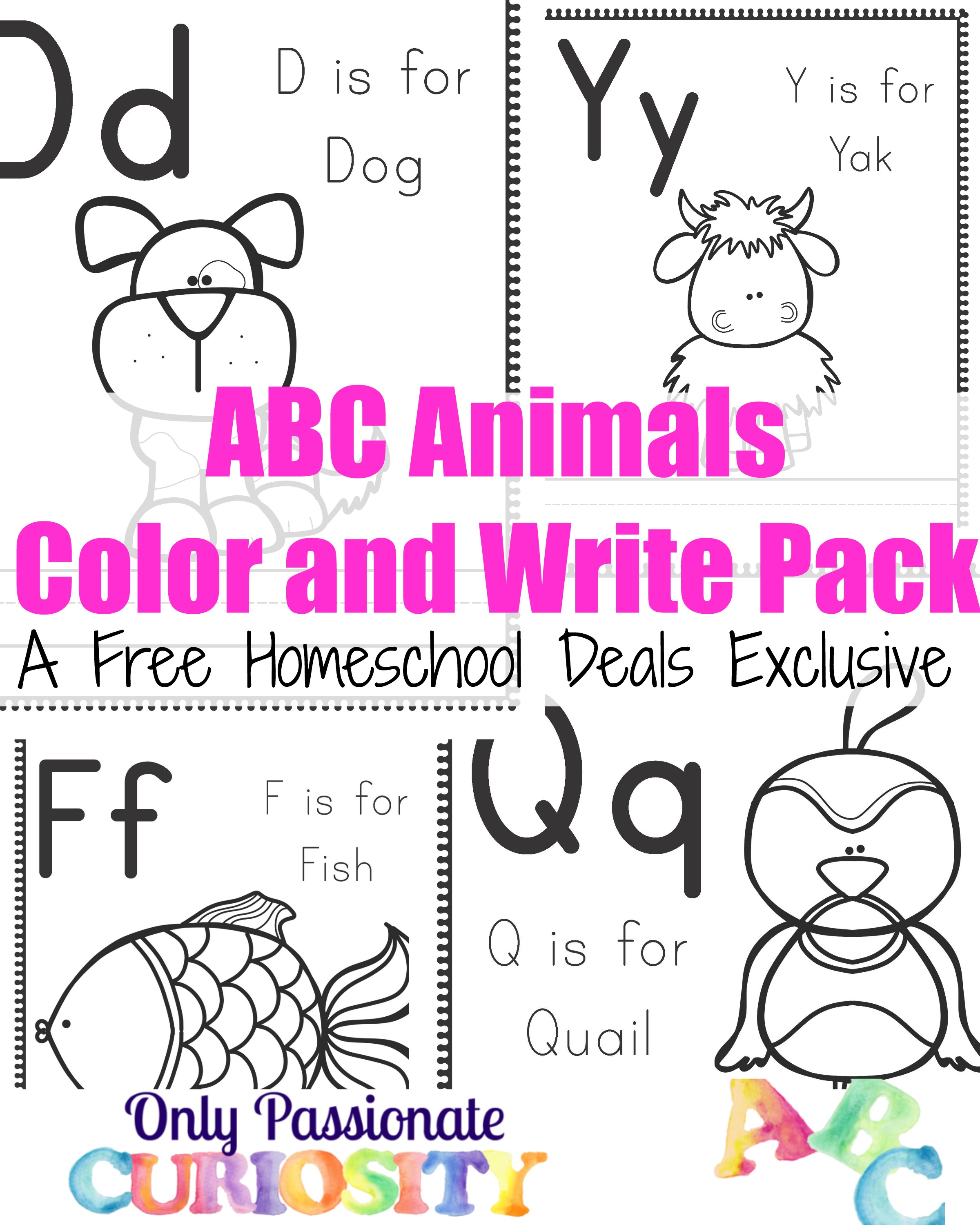 FREE ABC ANIMALS COLOR AND WRITE PACK (Instant Download)