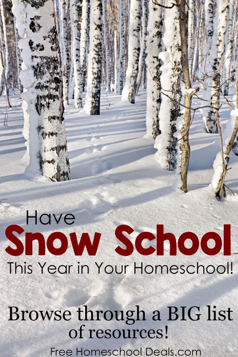 Have "Snow School" This Year! BIG List of Ideas for Your Homeschool!