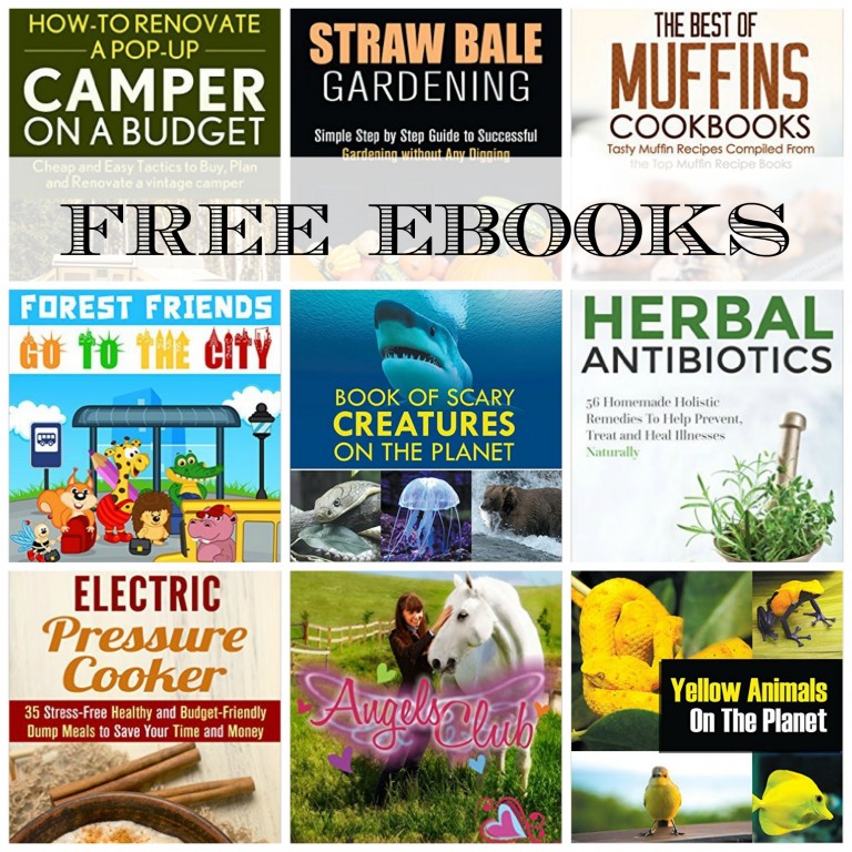 28 FREE EBOOKS: Easy Stew Cookbook, DIY Cleaning and Organizing + More!
