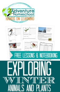 FREE Exploring Winter Animals Lessons and Notebooking