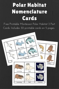 FREE Set of Polar Habitat Nomenclature Cards