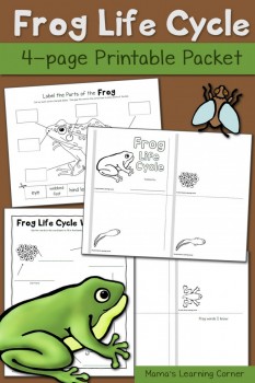 FREE Frog Life Cycle Pack
