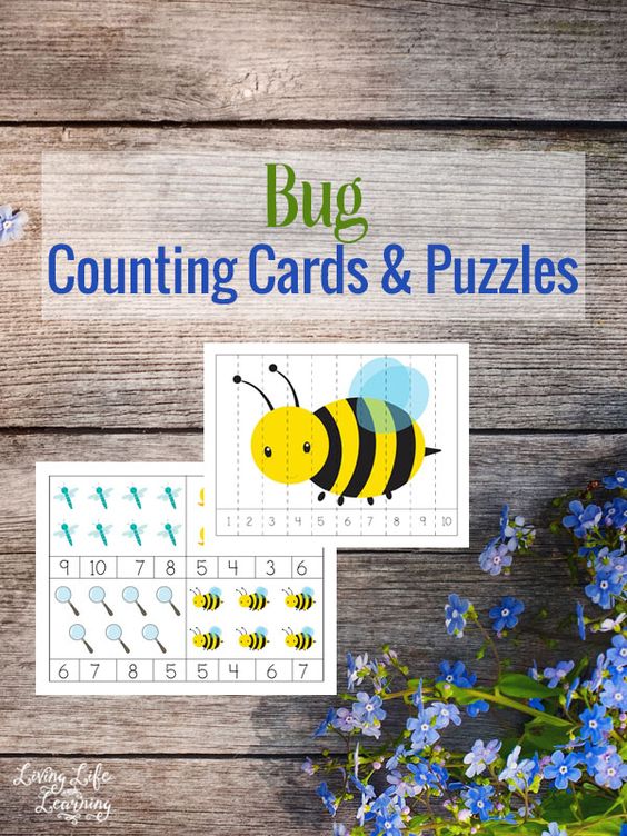 FREE Bug Counting Cards and Puzzles