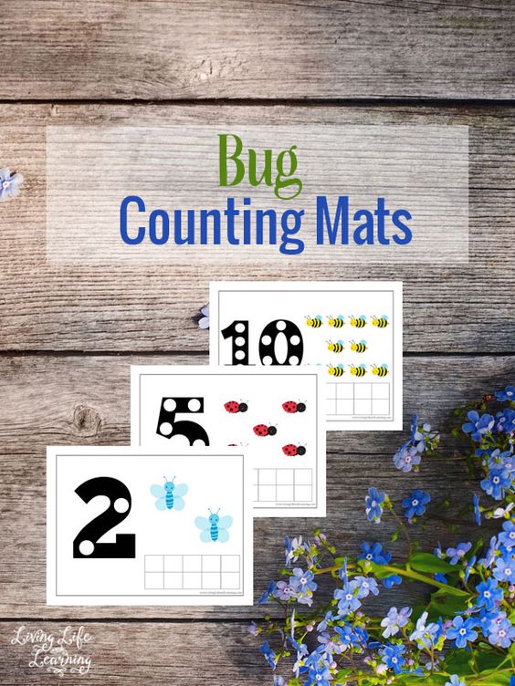 FREE Bug Counting Mats Pack