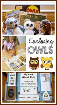 FREE Owl Lapbook and Unit Study Pack