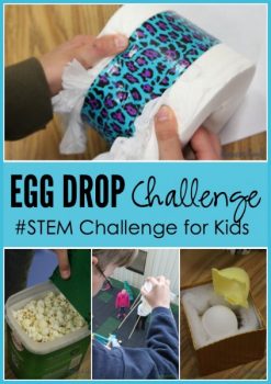 FREE STEM Egg Drop Experiment