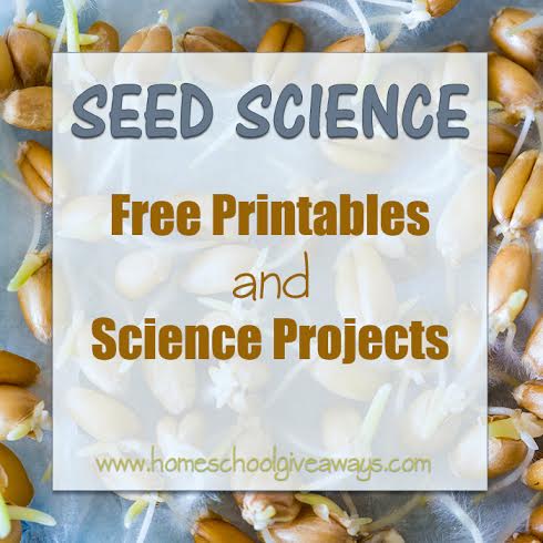 Seed Science FREE Printables and Science Projects