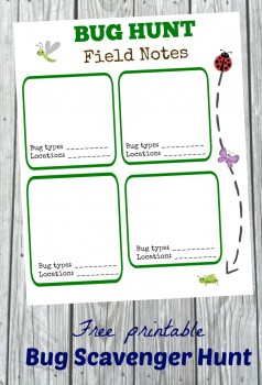 FREE Bug Hunt Printables