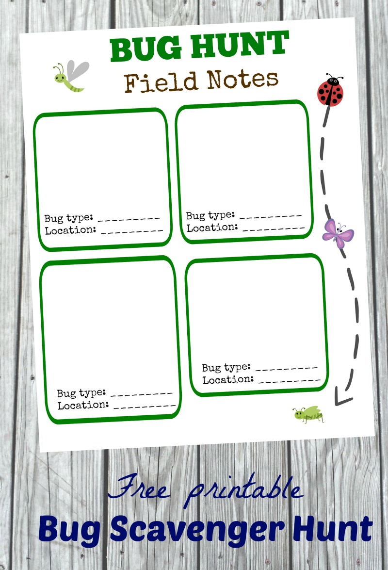FREE Bug Hunt Printables