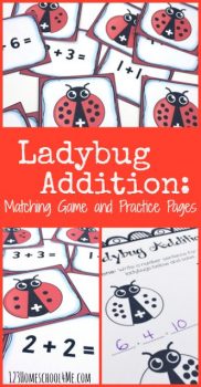 FREE Ladybug Math Games