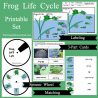 FREE Frog Life Cycle Lesson and Printables