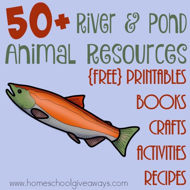 FREE Resources to Learn About Rivers & Pond Animals
