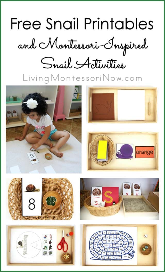 FREE Snail Learning Printables and Activities