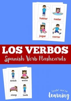 FREE Spanish Verb Flashcards