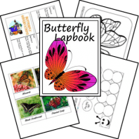 FREE Butterfly Lapbook