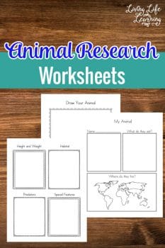 FREE Animal Research Worksheets