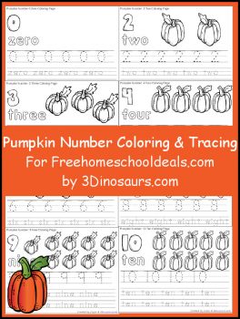 FREE PUMPKIN TRACE AND COLOR SET (Instant Download)