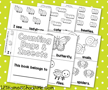 Free Insects Counting Book for Preschoolers