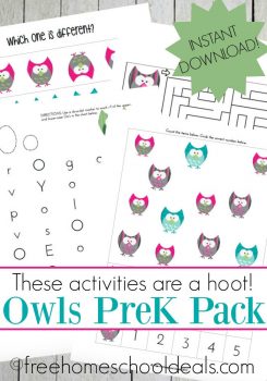FREE OWLS PRESCHOOL PRINTABLE PACK (Instant Download)