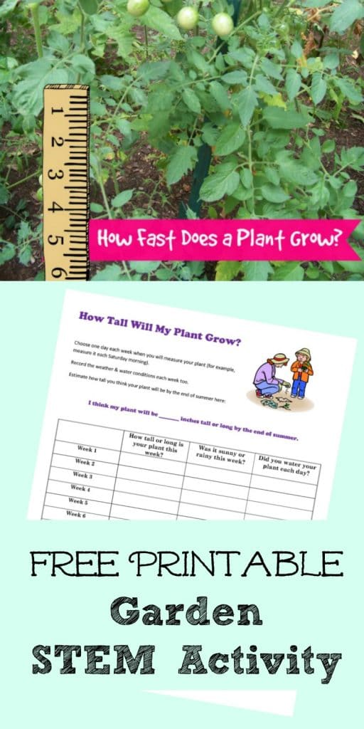 Free Plant Growth STEM Activity