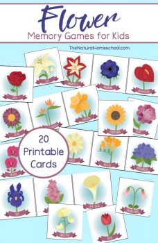 FREE Flower Memory Game | Free Homeschool Deals