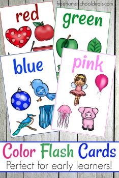 FREE COLOR FLASH CARDS (Instant Download)