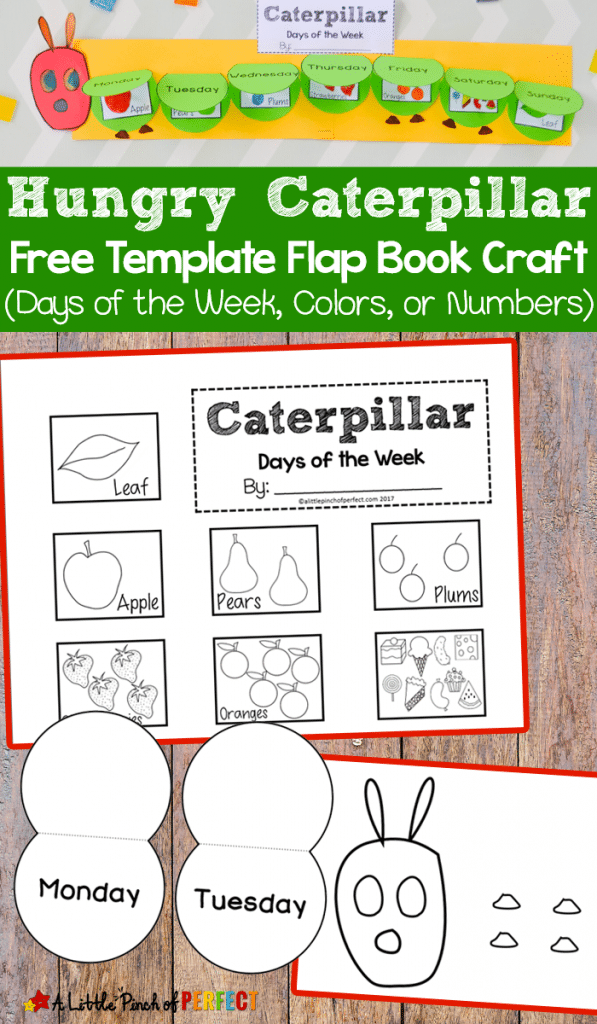 Free Hungry Caterpillar Learning Flap Book