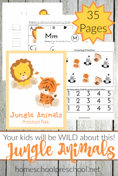 Free Jungle Animals Preschool Pack (35 Pages!)