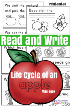 Free Apple Life Cycle Mini-Book
