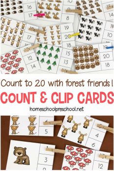 Free Forest Themed Count & Clip Cards