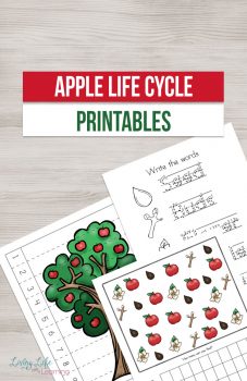 FREE Apple Life Cycle Printables | Free Homeschool Deals