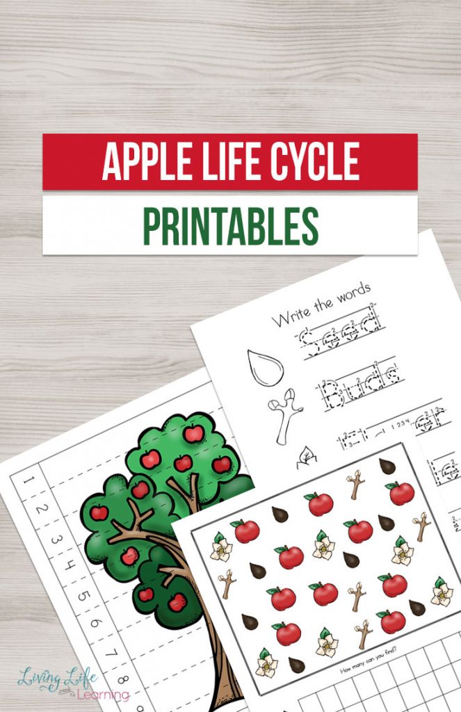FREE Apple Life Cycle Printables | Free Homeschool Deals