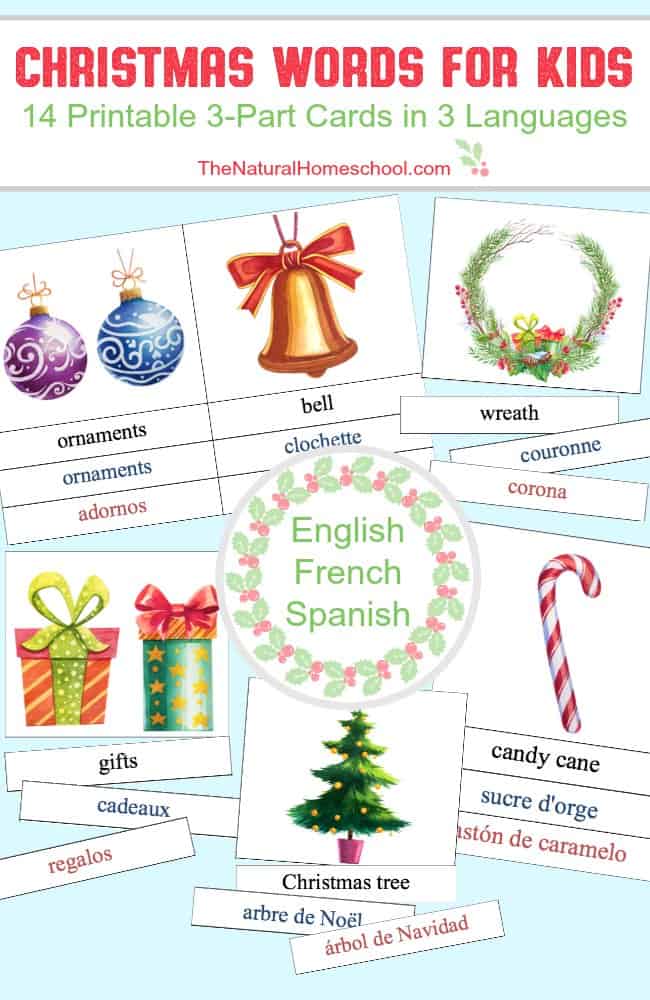 FREE Christmas Word Cards in 3 Languages! | Free Homeschool Deals