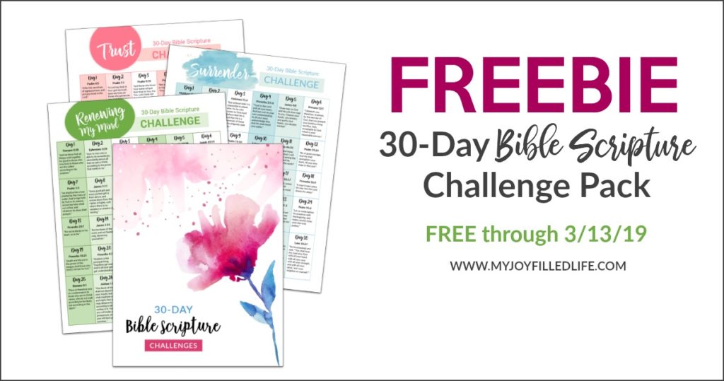 FREE 30-Day Bible Challenge Pack (FREE until 3/13/19!) | Free ...