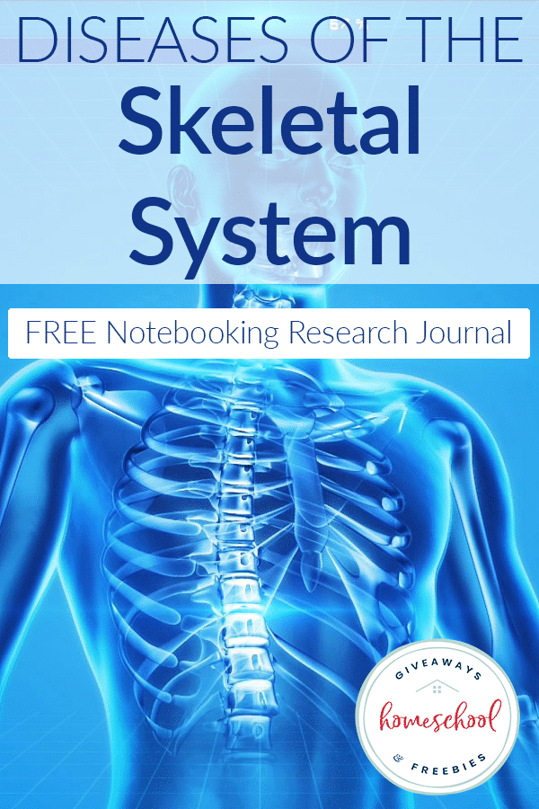 FREE Notebooking Research Journal: Diseases of the Skeletal System ...