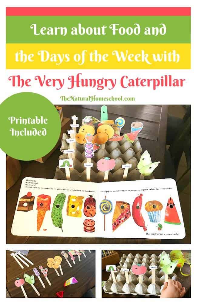 FREE The Very Hungry Caterpillar Lesson Printables | Free Homeschool ...