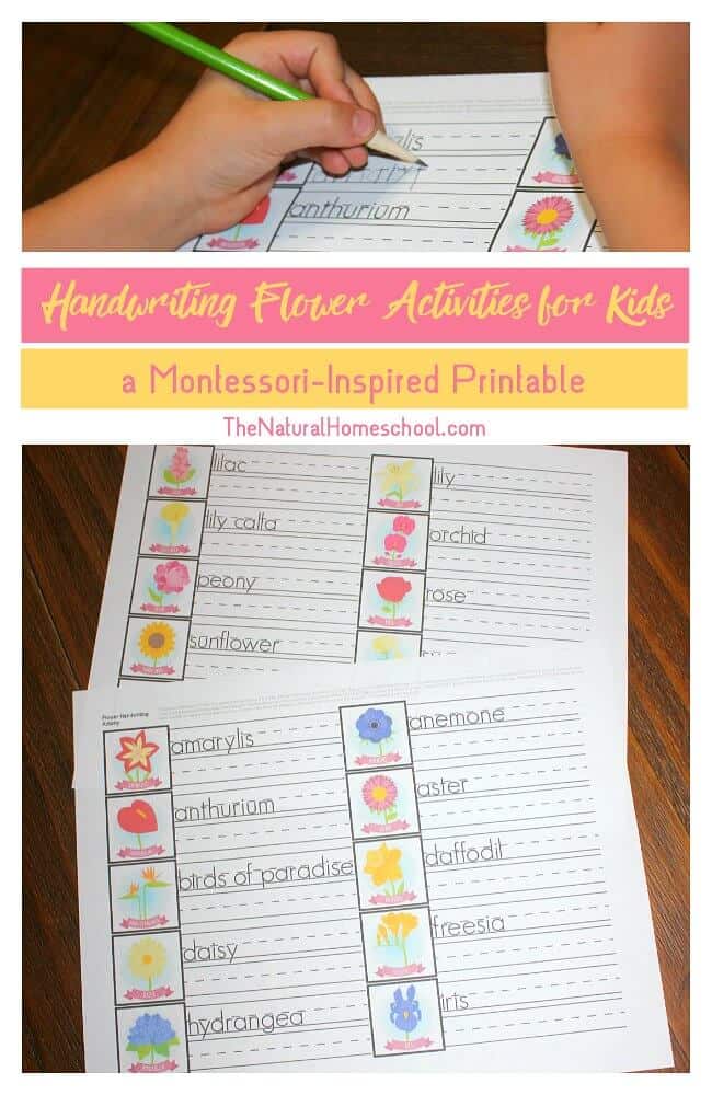 FREE Handwriting Flower Activities | Free Homeschool Deals
