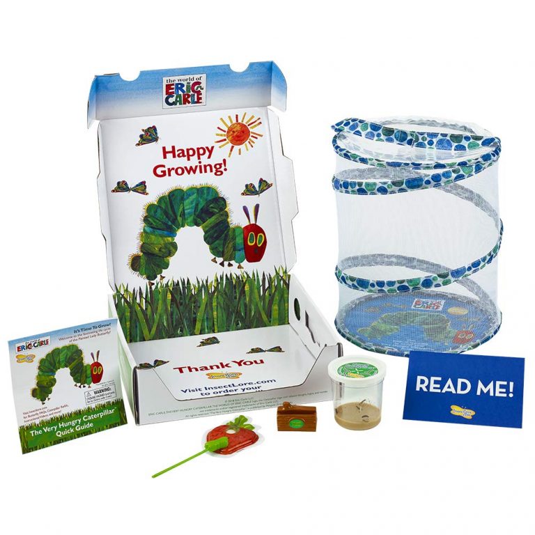 Amazon Deal: Butterfly Growing Kit (35% off!) | Free Homeschool Deals
