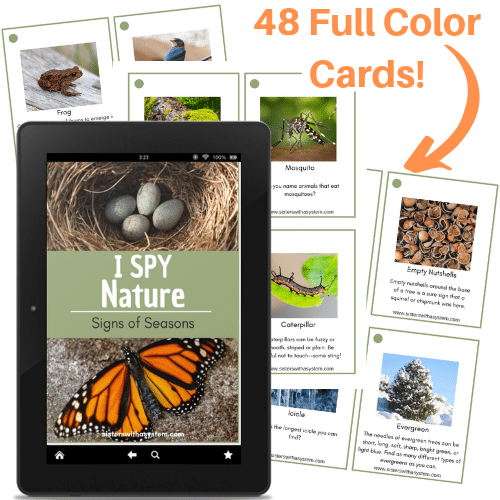FREE Nature I Spy: Signs of Seasons Cards | Free Homeschool Deals